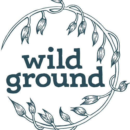 Stream Wild Ground music | Listen to songs, albums, playlists for free ...