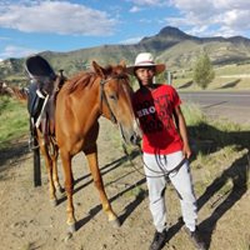 Stream cayodi music | Listen to songs, albums, playlists for free on ...