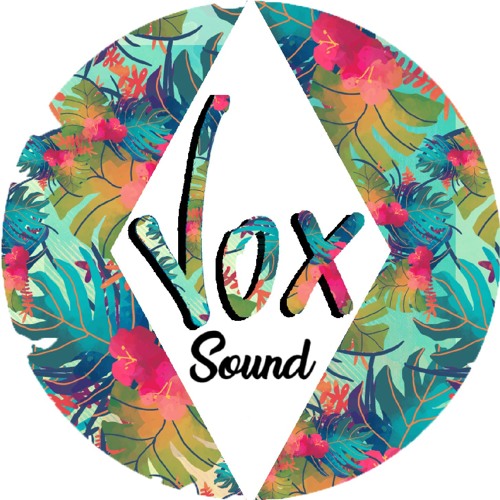 Stream Vox Sound music | Listen to songs, albums, playlists for free on ...