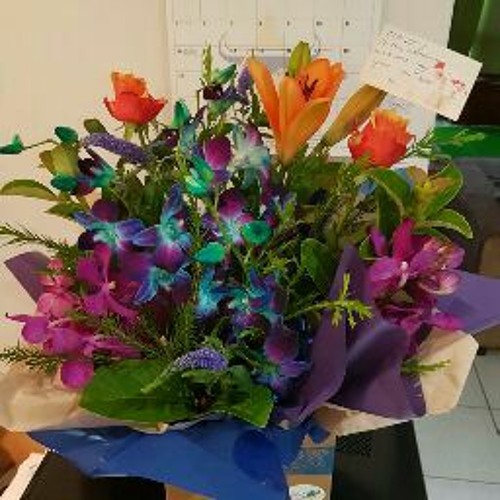 Stream Valencia Anderson music | Listen to songs, albums, playlists for ...