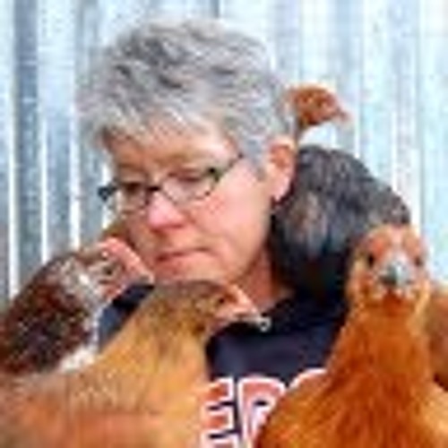 Stream Carrie Burkholder music | Listen to songs, albums, playlists for ...