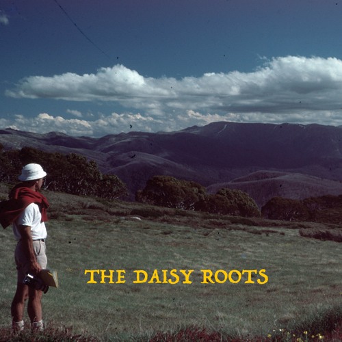 Stream The Daisy Roots music | Listen to songs, albums, playlists for ...