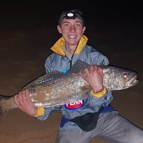 Stream barry music | Listen to songs, albums, playlists for free on ...