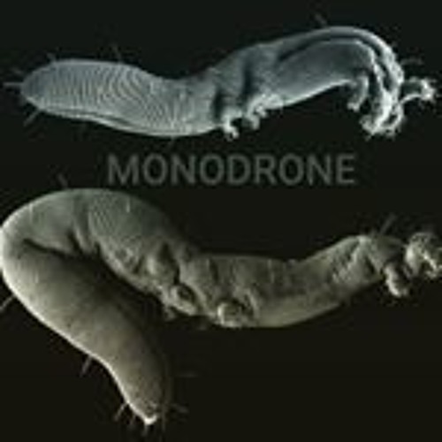 Stream Monodrone - Strozone by Monodrone | Listen online for free on ...