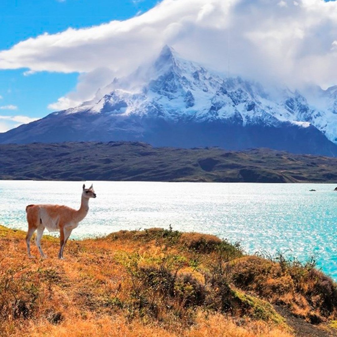 Stream Pmattt - La rose et l´armure 25 oct. 2025.m4a by Matt Pvz ...