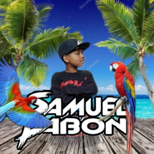 Stream Samuel Pabon DJ music | Listen to songs, albums, playlists for ...
