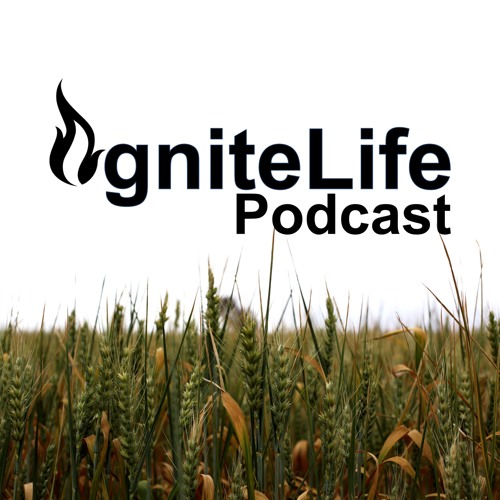 Stream Ignite Life Podcast music | Listen to songs, albums, playlists ...