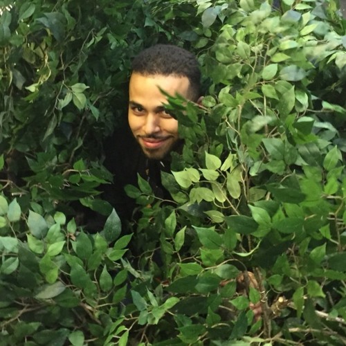 Stream BIG HAMBONE SUS GOD AKA HAMLINZ music | Listen to songs, albums ...