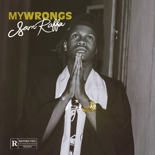 Stream Sam Rafa_SA music | Listen to songs, albums, playlists for free ...