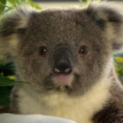 Stream Alexander Gutowski music | Listen to songs, albums, playlists ...