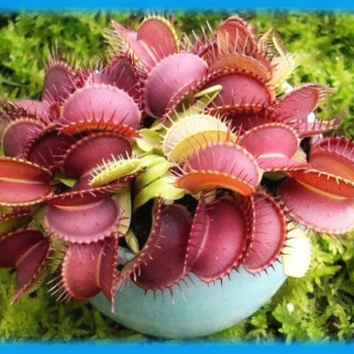 Stream RADIO DOCENTE by KRISTIN TATIANA ÁLVAREZ | Listen online for ...