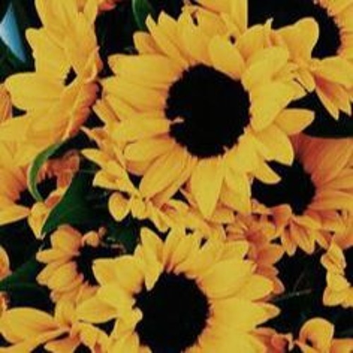 Stream Colleen Magee :) music | Listen to songs, albums, playlists for ...