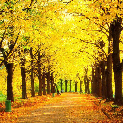 Stream Elisa Huber music | Listen to songs, albums, playlists for free ...