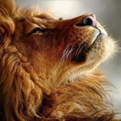 Stream Roger Peña Pombo music | Listen to songs, albums, playlists for ...