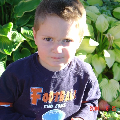 Stream Tommy Sedgwick music | Listen to songs, albums, playlists for ...