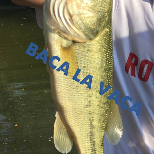 Stream Baca La Vaca music | Listen to songs, albums, playlists for free ...