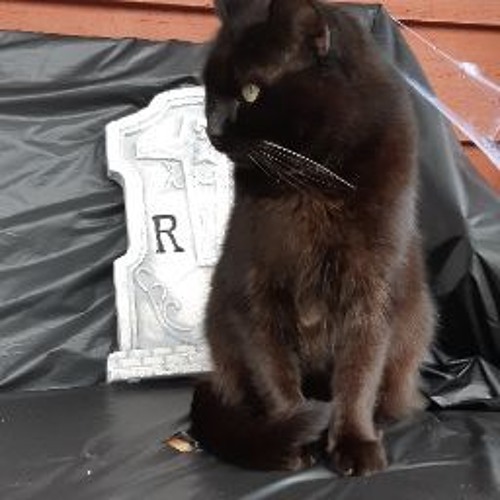 Stream Jay Slayer music | Listen to songs, albums, playlists for free ...