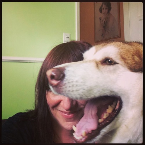 Stream Lizzy Ross | Listen to podcast episodes online for free on ...