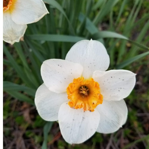 Stream Sarah Jane Heyman music | Listen to songs, albums, playlists for ...