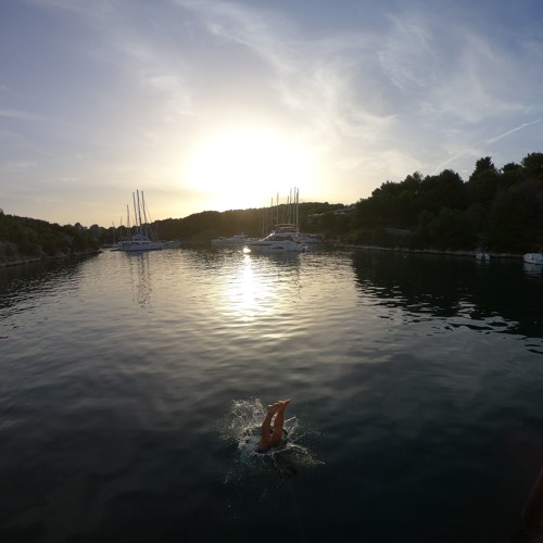 Stream Max Fallenius music | Listen to songs, albums, playlists for ...