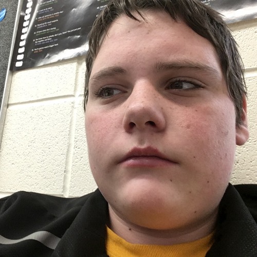 Stream Shane Spooner music | Listen to songs, albums, playlists for ...