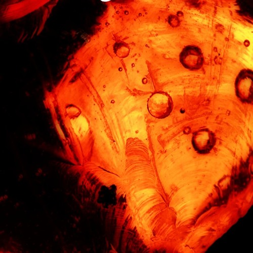 Stream Sharon Haney | Listen to podcast episodes online for free on ...