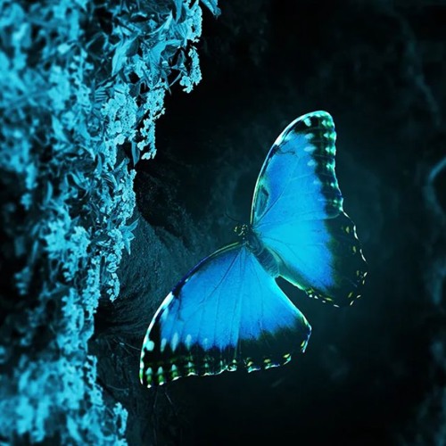 Stream King Drizzy music | Listen to songs, albums, playlists for free ...