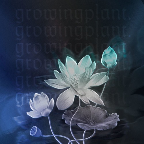 Stream growingplant. music | Listen to songs, albums, playlists for ...