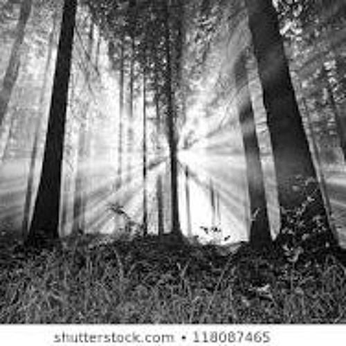 Stream Kitore music | Listen to songs, albums, playlists for free on ...