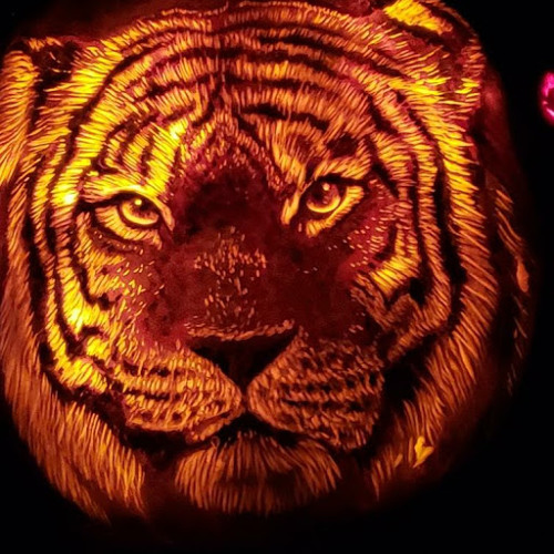 Stream Duck Duck99 | Listen to eminem playlist online for free on ...