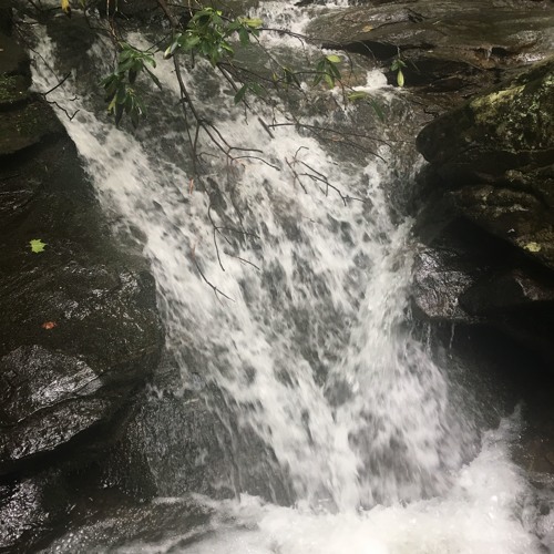 Stream Alex Ivnik music | Listen to songs, albums, playlists for free ...