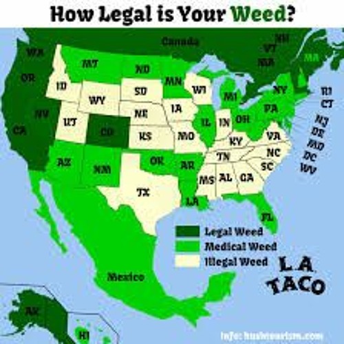 Stream Yung_Shooter music | Listen to songs, albums, playlists for free ...