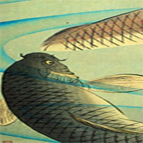 Stream schnook . music | Listen to songs, albums, playlists for free on ...