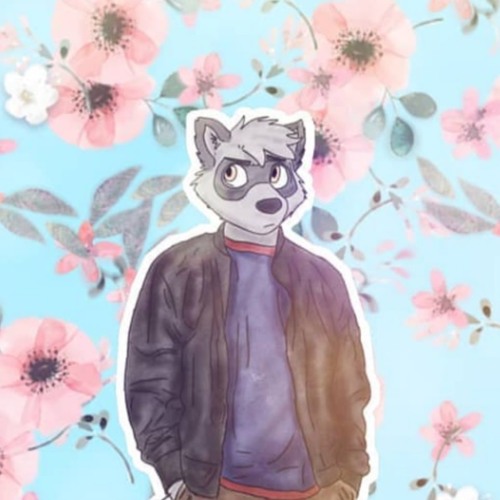 Stream Wally Raccoon music | Listen to songs, albums, playlists for ...