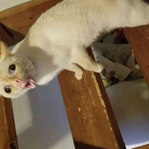 Stream sad man music | Listen to songs, albums, playlists for free on ...