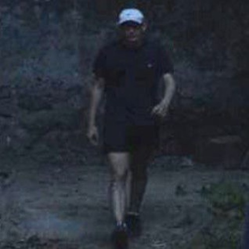 Stream Shane Lizard music | Listen to songs, albums, playlists for free ...