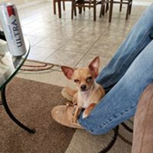 Stream Xavier music | Listen to songs, albums, playlists for free on ...