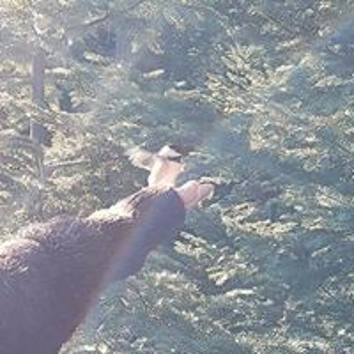 Stream Megan Muise music | Listen to songs, albums, playlists for free ...