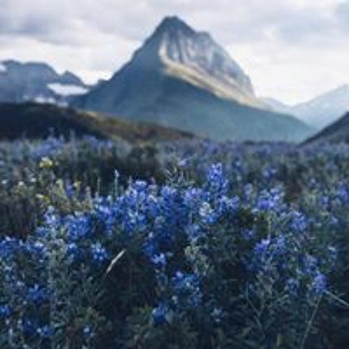 Stream Kelly Yong music | Listen to songs, albums, playlists for free ...