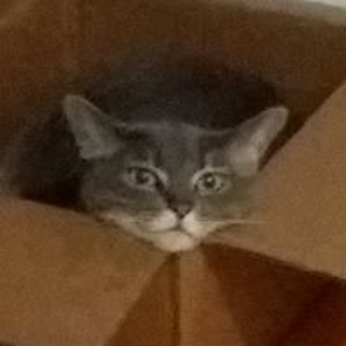 Stream Gordon Switzer music | Listen to songs, albums, playlists for ...