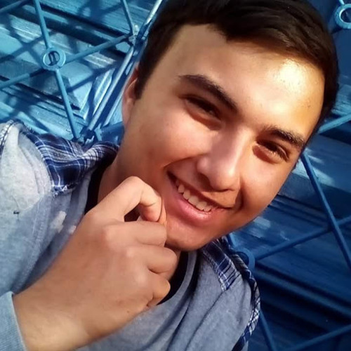 Stream Preda Robert music | Listen to songs, albums, playlists for free ...