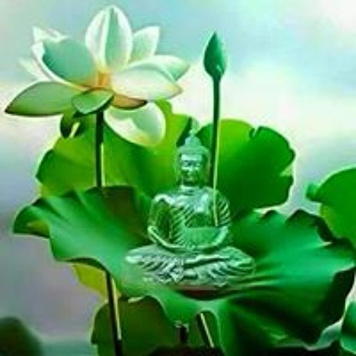 Stream Celine Cheung music | Listen to songs, albums, playlists for ...