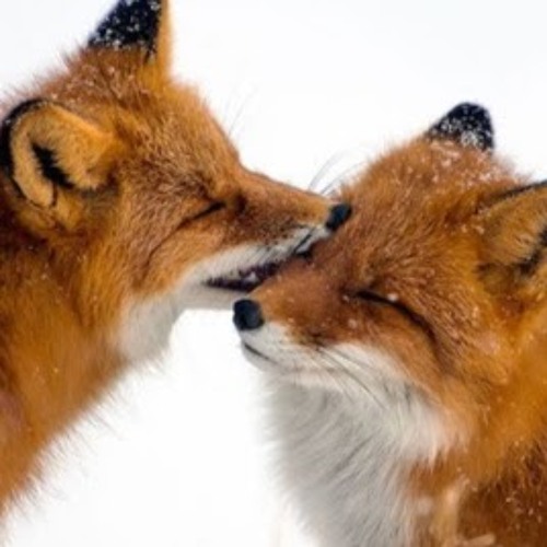 Stream Kay Naughton music | Listen to songs, albums, playlists for free ...