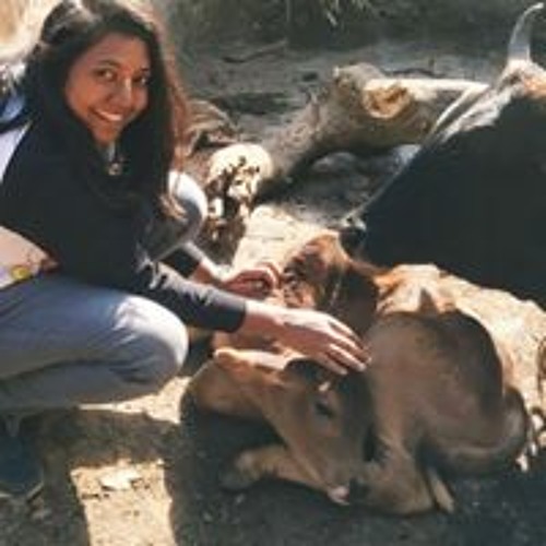 Stream madhavi neha music | Listen to songs, albums, playlists for free ...