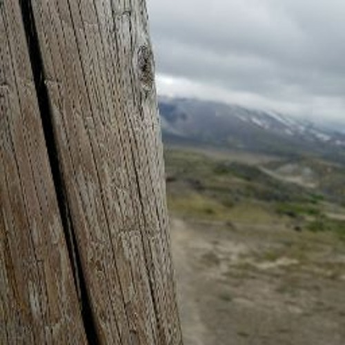 Stream Trace Hansen music | Listen to songs, albums, playlists for free ...