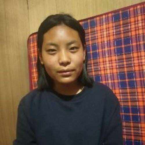 Stream Norbu Dema music | Listen to songs, albums, playlists for free ...