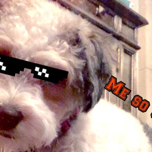 Stream Random Dude music | Listen to songs, albums, playlists for free ...