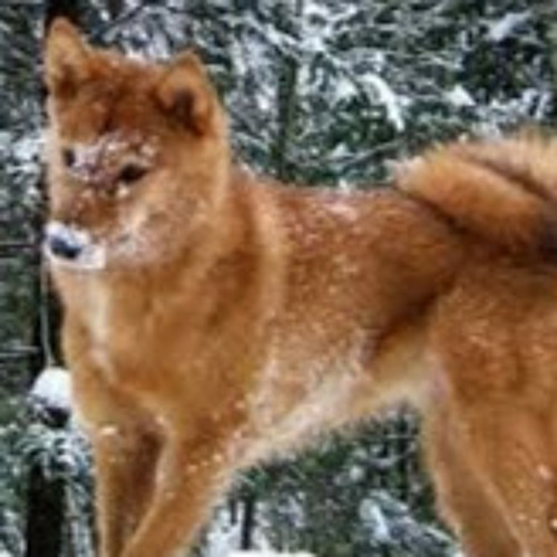 Stream Riley Haworth music | Listen to songs, albums, playlists for ...