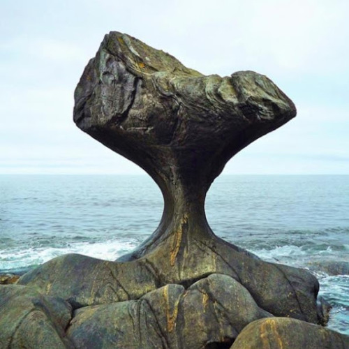 Stream gerard sullivan music | Listen to songs, albums, playlists for ...