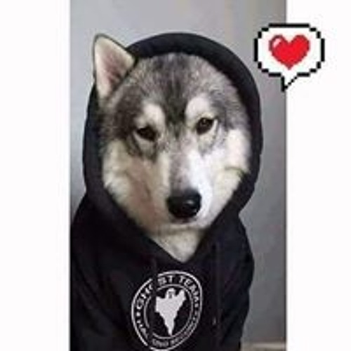 Stream djsjsj music | Listen to songs, albums, playlists for free on ...